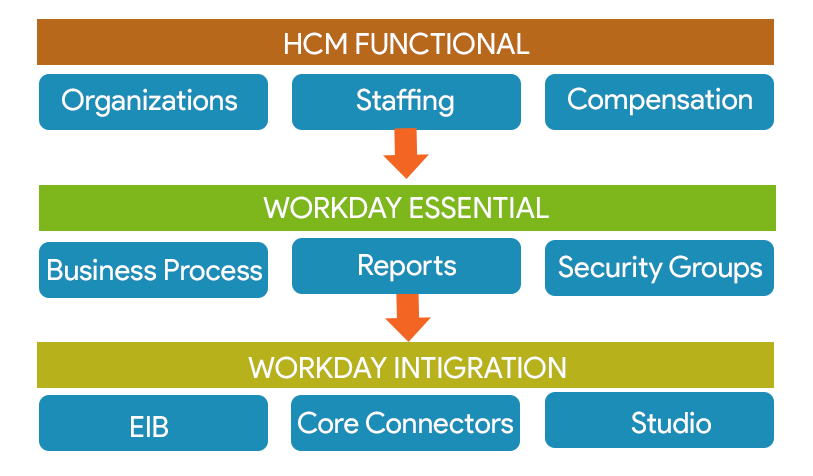 Workday HCM Training Online | Workday HCM Certification Course Workday HCM Training Online | Workday HCM Certification Course